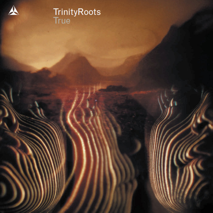 True | Trinity Roots