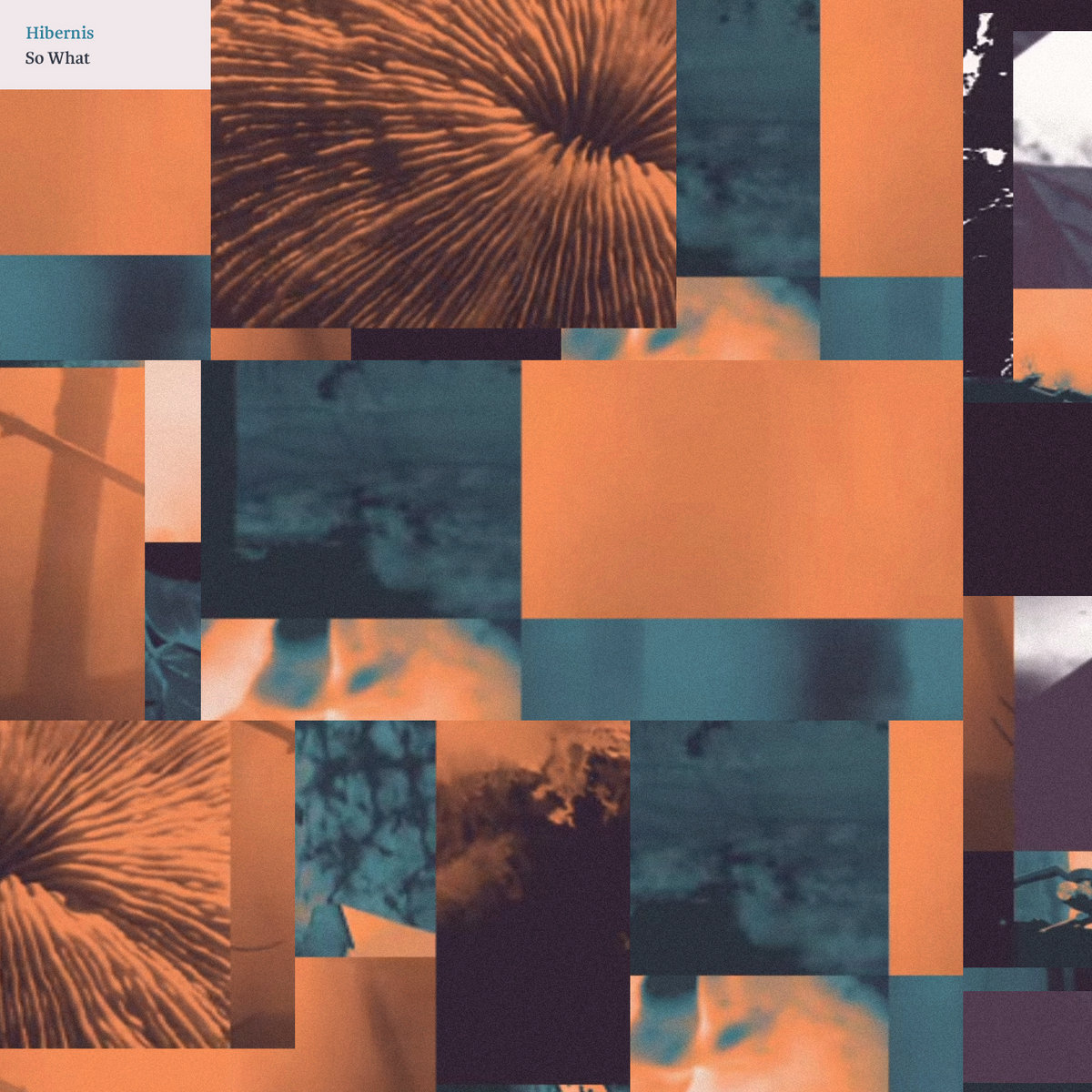 So What | Hibernis | Serein