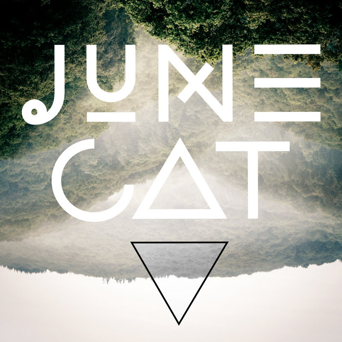 June Cat | June Cat