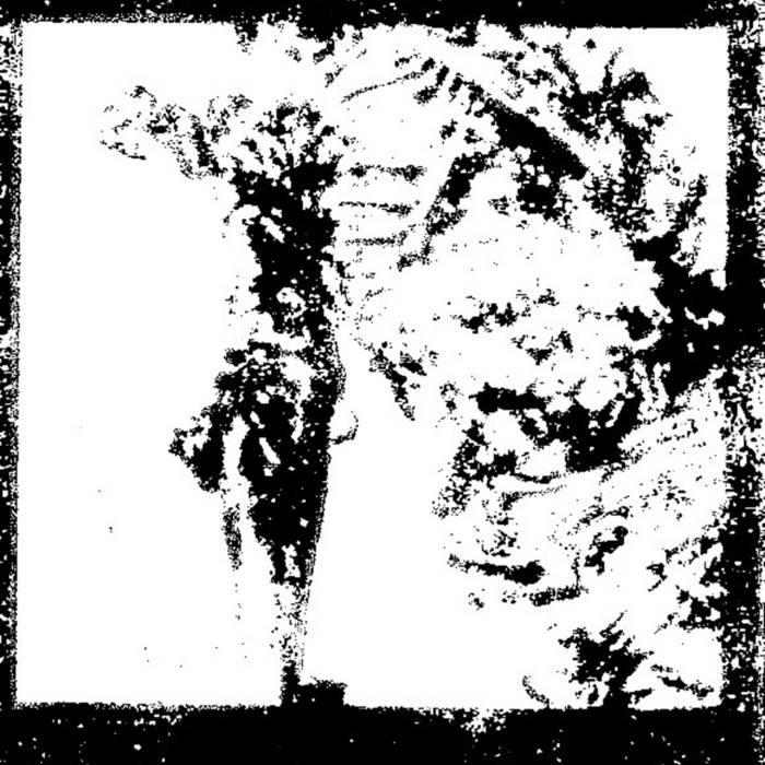 Organogenesis Reversal | Cadaveric Spasm | Embalmer