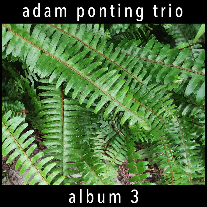 album 3 | adam ponting trio | Adam Ponting