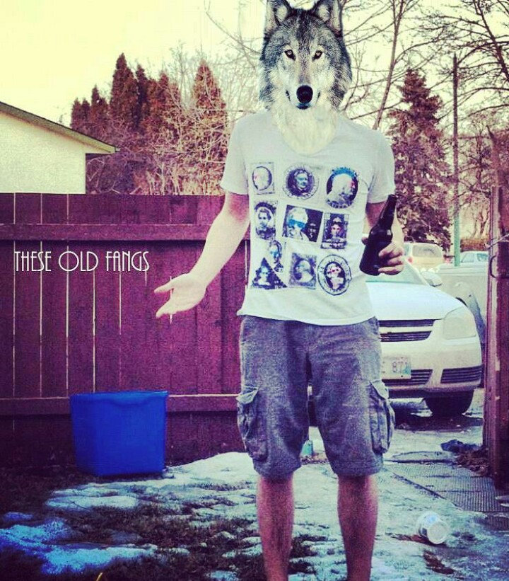 The Demo | These Old Fangs