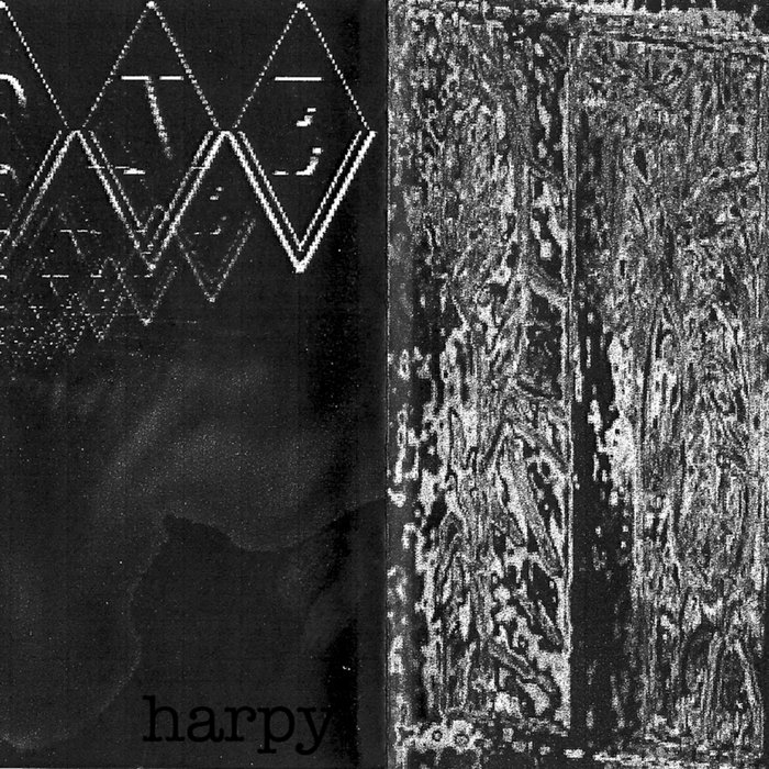 HARPY (july 2021) | Internal Empty | Lackthrow