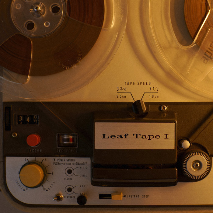 Leaf Tape I | LightLeaf