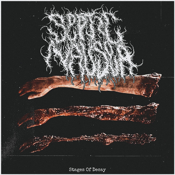 Stages Of Decay | Septic Nausea