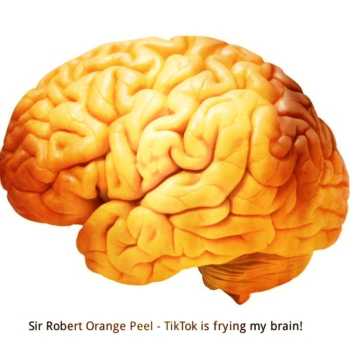 Sir Robert Orange Peel - Tik Tok Is Frying My Brain | metal postcard ...
