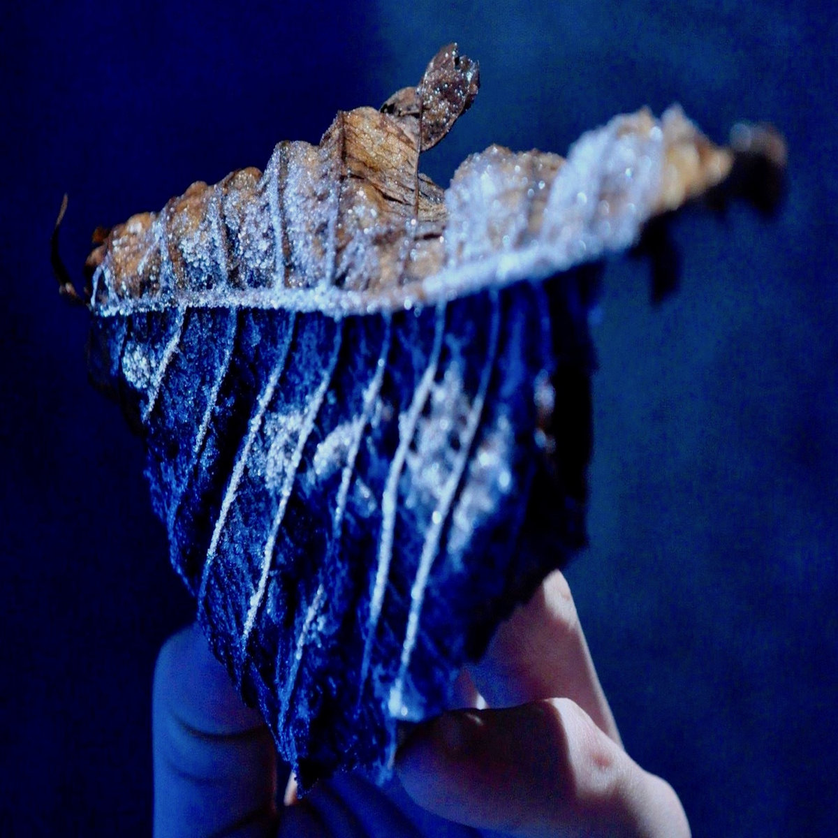 Invierno | Alejandro Lema