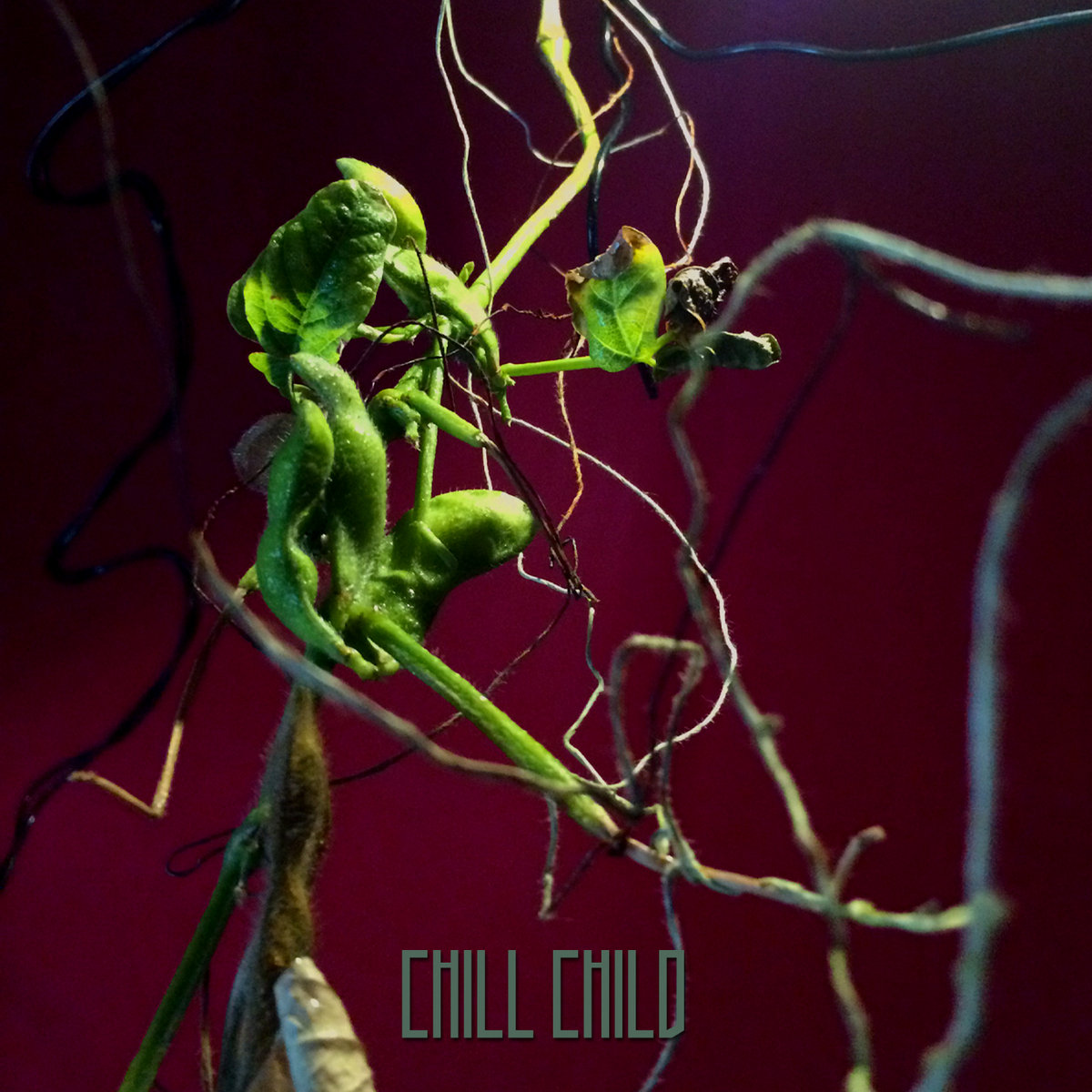 Chill Child vol.01 | Stochastics and The Bollinger Band | Stochastics ...