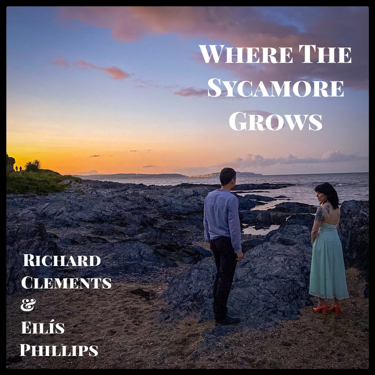 Where the sycamore grows | Richard Clements