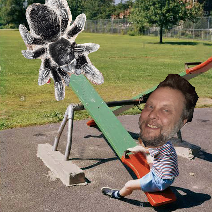 Pickles The Spider | BOB LOG III