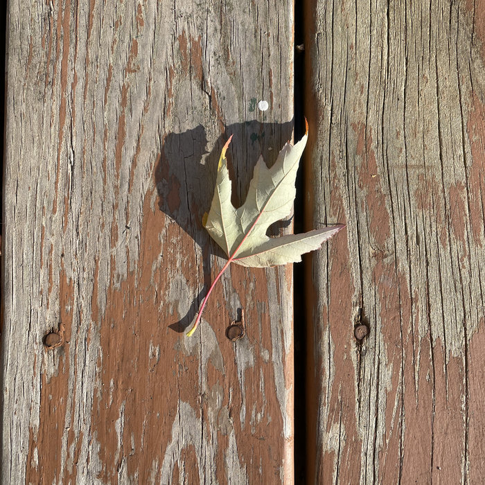 Rocktober | Alice Deville's Hard Drivers