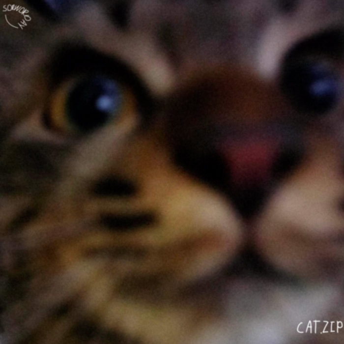 CAT.ZIP | sorworday.