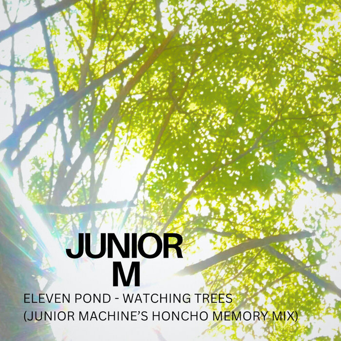 Eleven Pond - Watching Trees (Junior Machine's Honcho Memory Mix ...