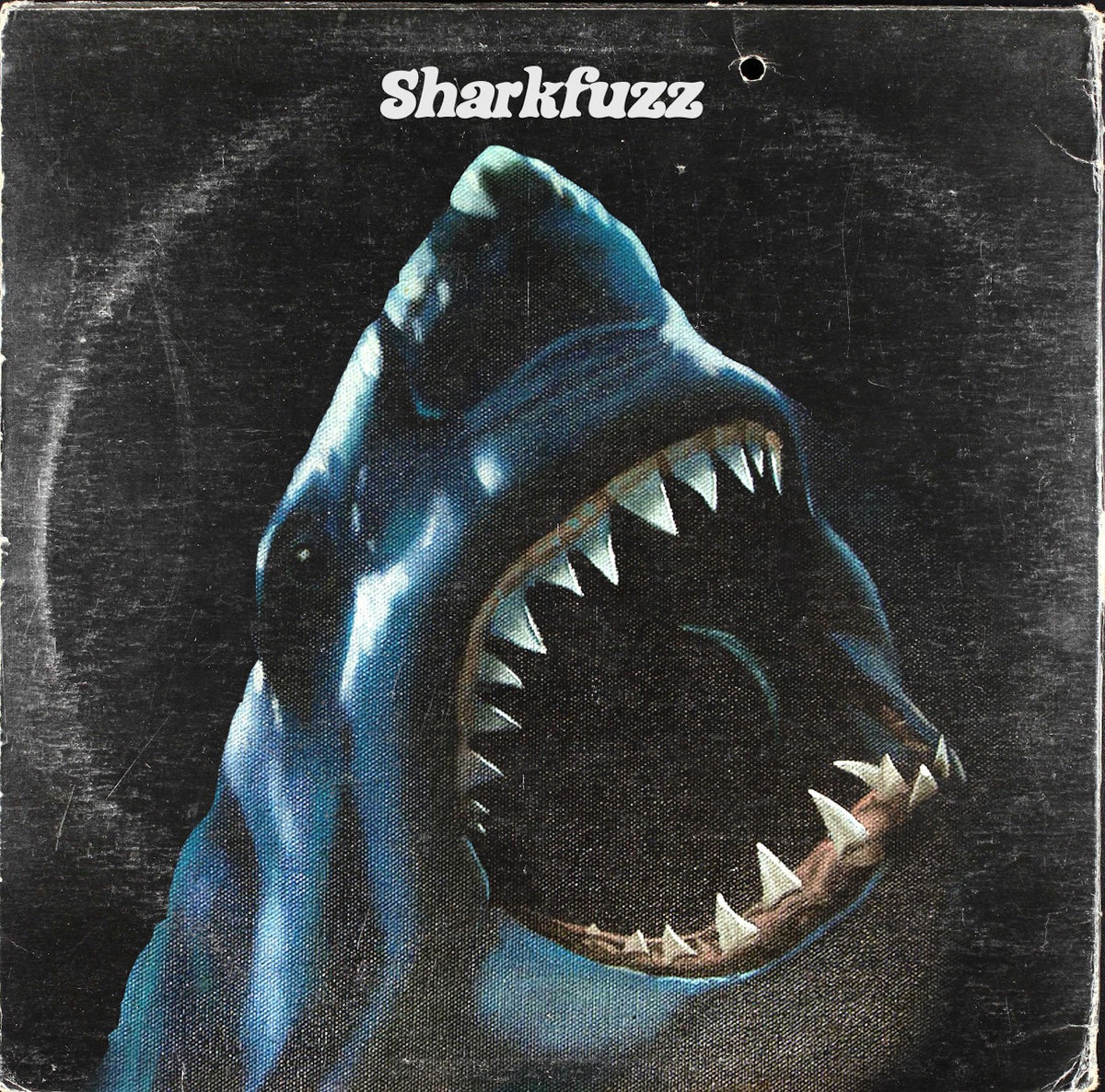 SHARKFUZZ | ROYALFUZZ