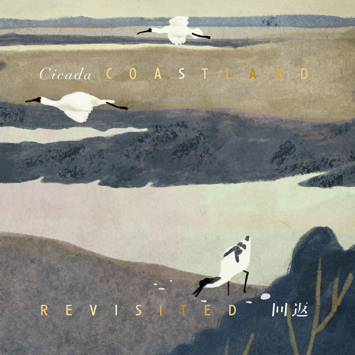 回返 Coastland Revisited | Cicada 回返 Coastland Revisited | Cicada