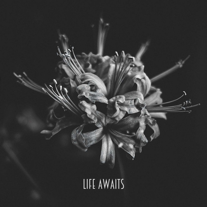 Life Awaits /往生 | Life Awaits