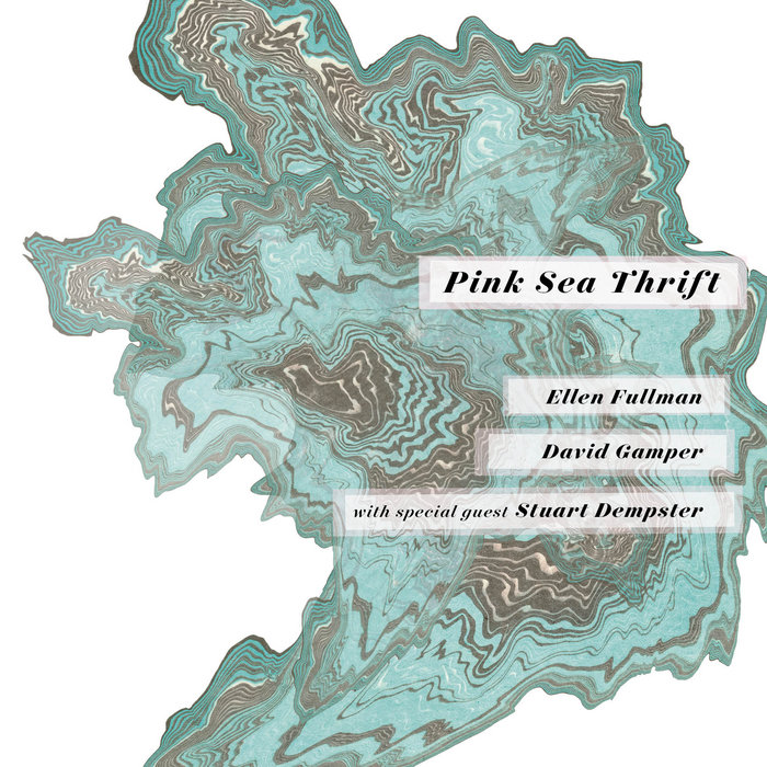 Pink Sea Thrift | Ellen Fullman, David Gamper & Stuart Dempster | Ellen ...