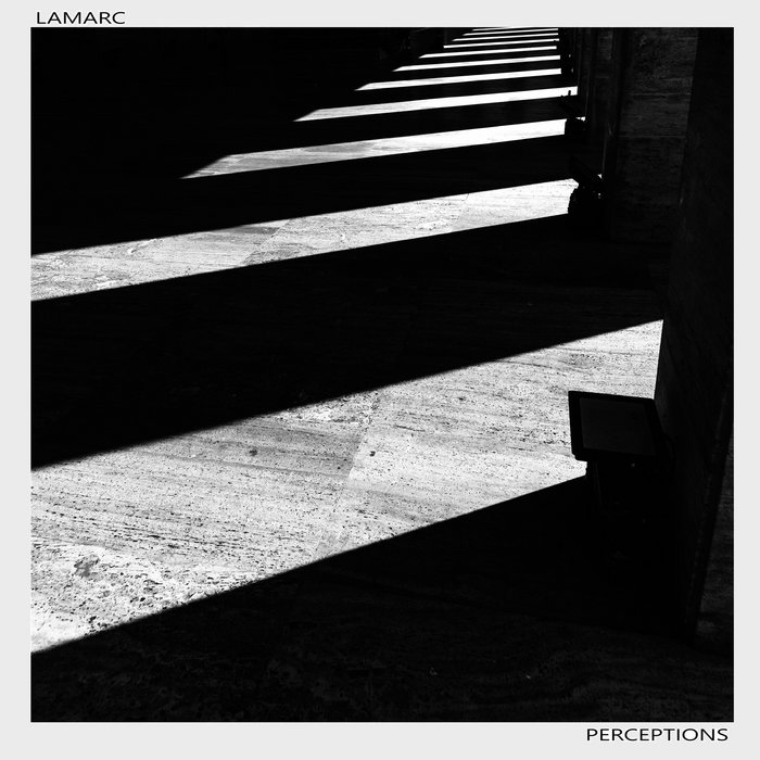 Perceptions | Lamarc