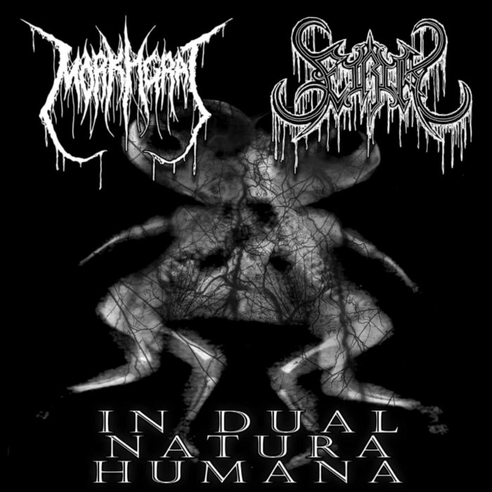 IN DUAL NATURA HUMANA | Morkhgrat