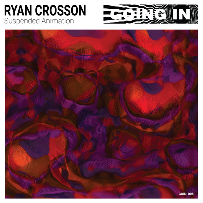 Suspended Animation [Going In 005] | Ryan Crosson