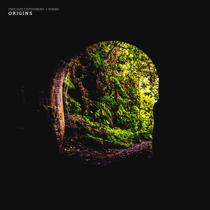 Origins Encoder Experiment