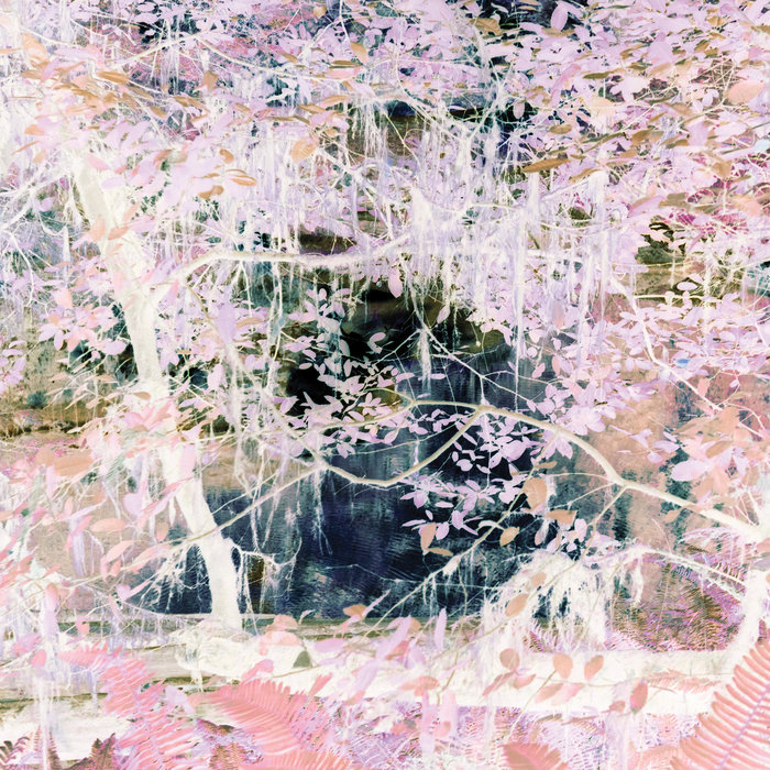 Pure Thoughts | Jacob Becker