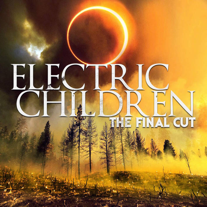 The Final Cut Album Cover