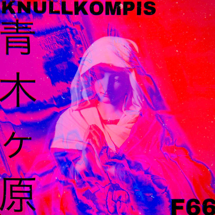 F66 | 青木ヶ原 / Knullkompis | Knullkompis