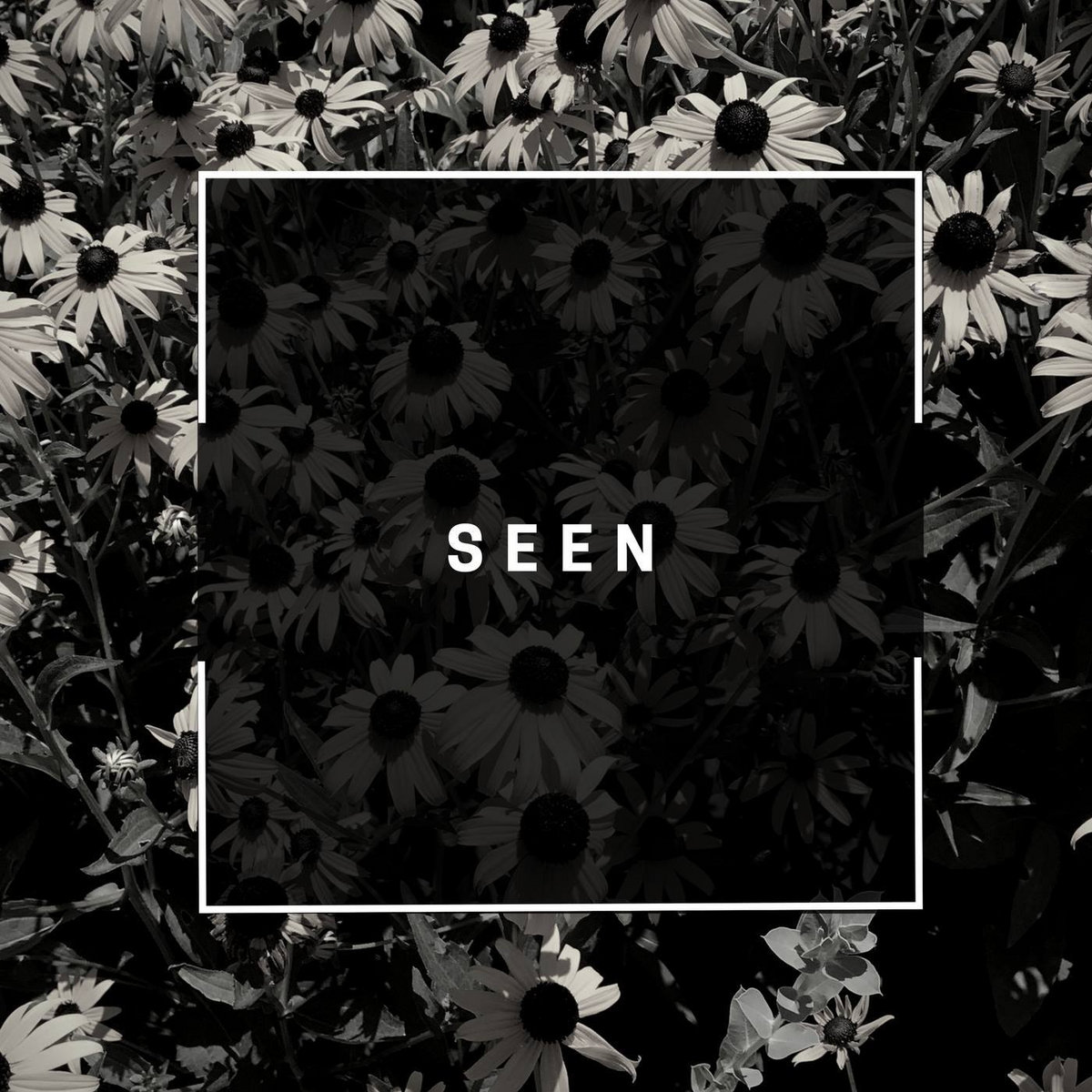 Seen | Mayra Lee