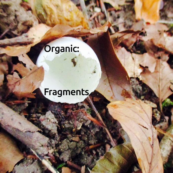 Organic: Fragments | Running in Reykjavik