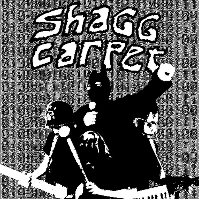 BUGGED | Shagg Carpet