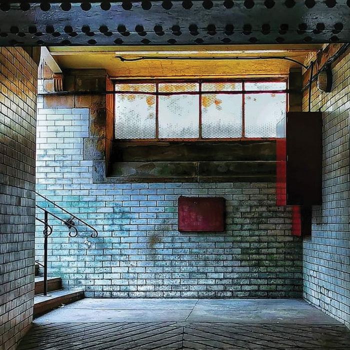 ROCK | ROCK | bracken