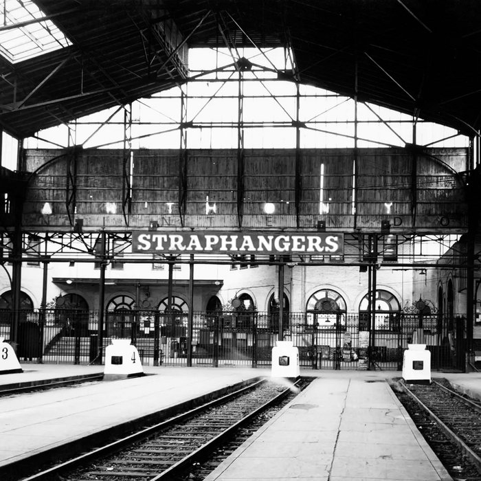 STRAPHANGERS | Anthony Nintendo