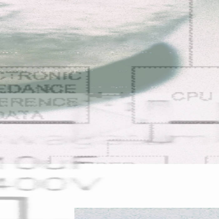 Loop A = B | 異体相即 | Static Disc