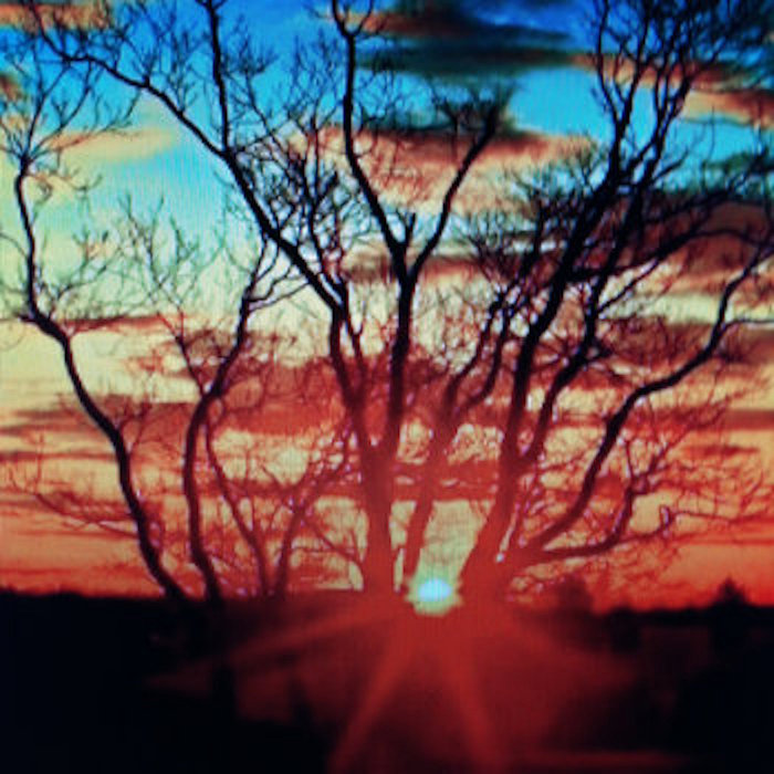 Coconut Flakes | (Oh)