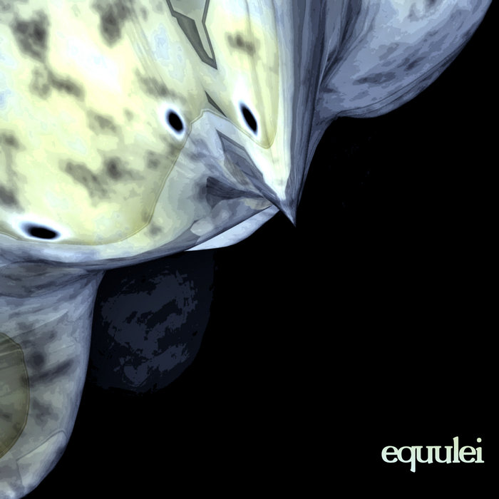 Election Year Politics Equulei