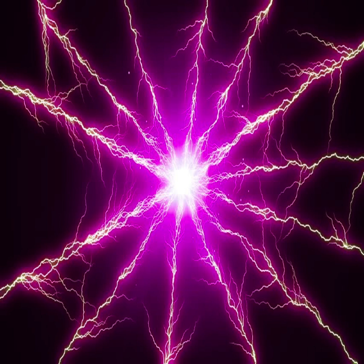 Pink Lightning latome2