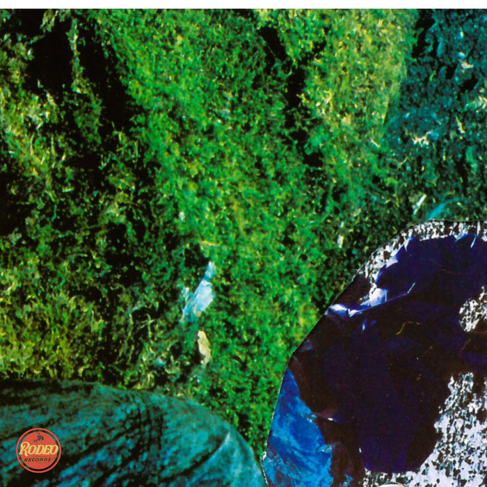 Voices | Dan Ferguson