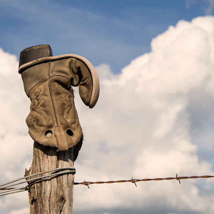 On The Fence | Bobby D
