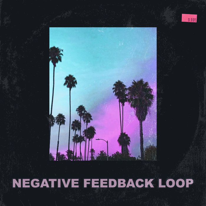 Negative Feedback Loop | Negative Feedback Loop