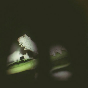 Music | Caley Conway