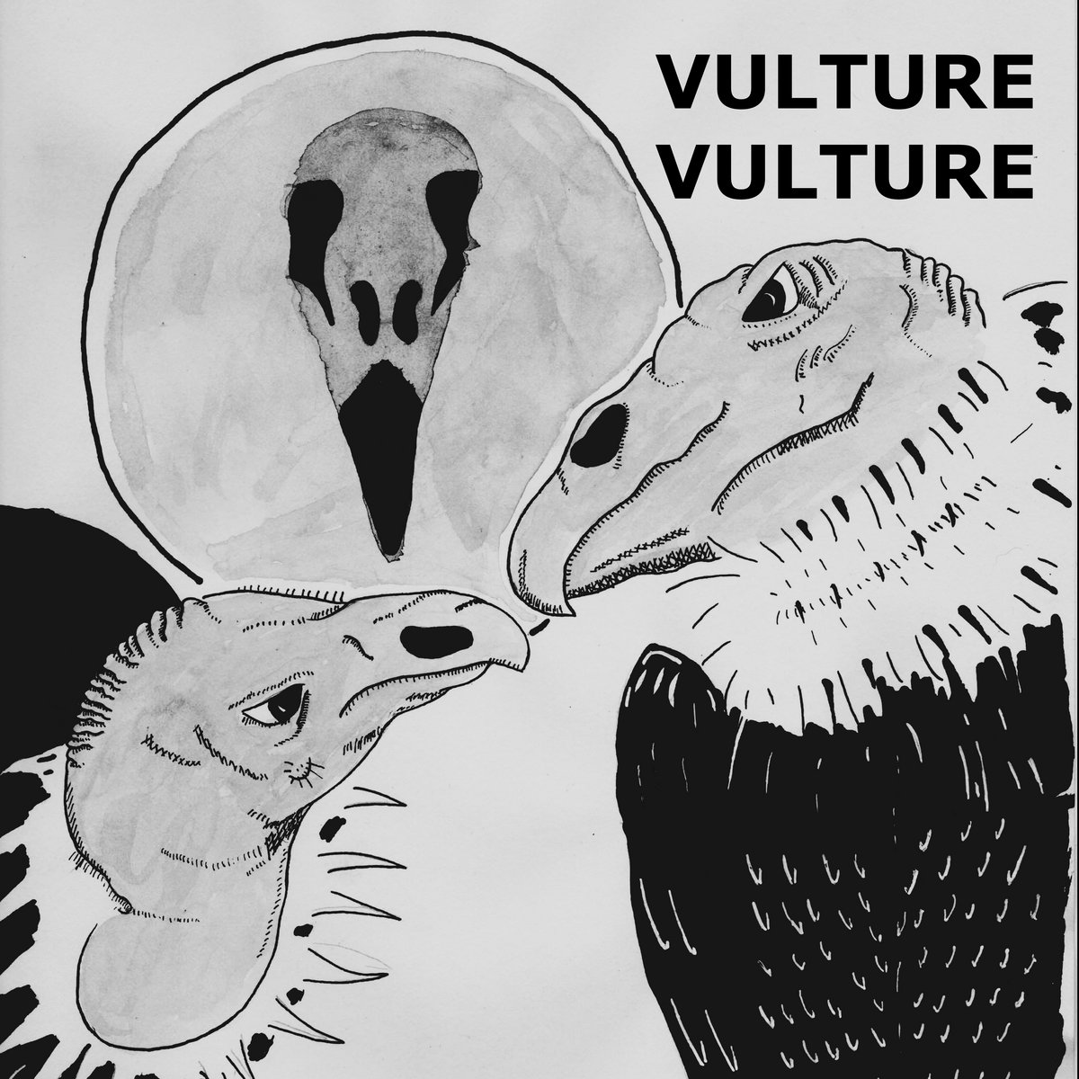 Liar | Vulture Vulture