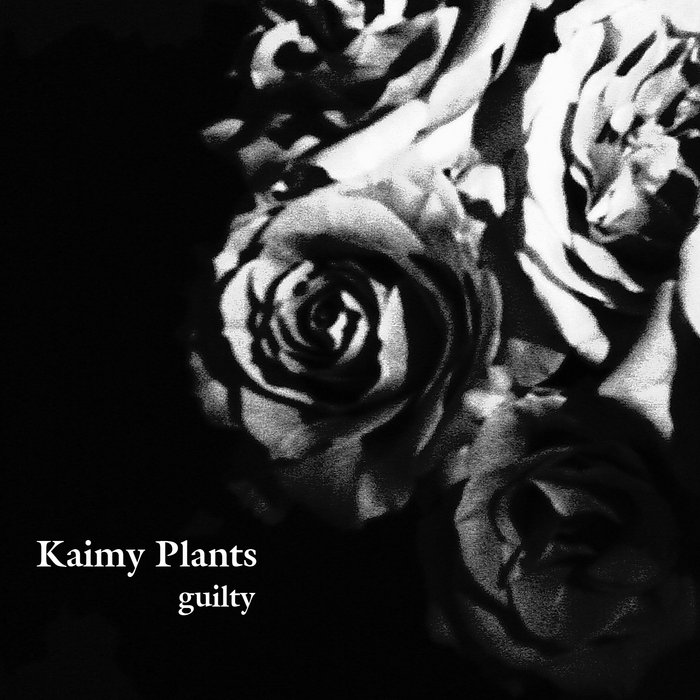 guilty | KAIMY PLANTS